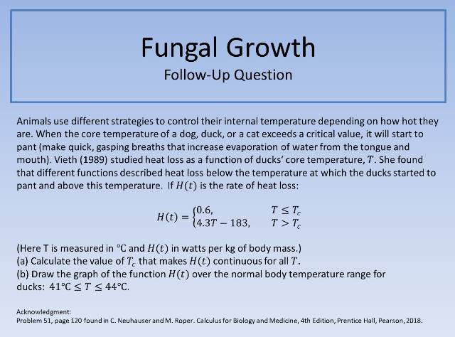 Fungal Growth | Microtutorials in Mathematics
